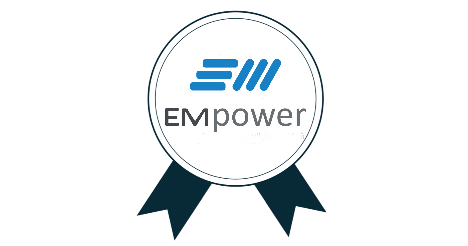 Certified Scrum Master® CSM - Diplomasafe