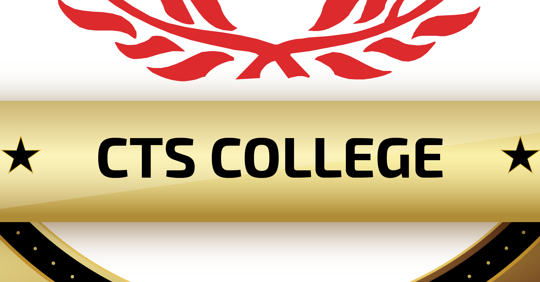 Principles of Procurement & Supply - Diplomasafe